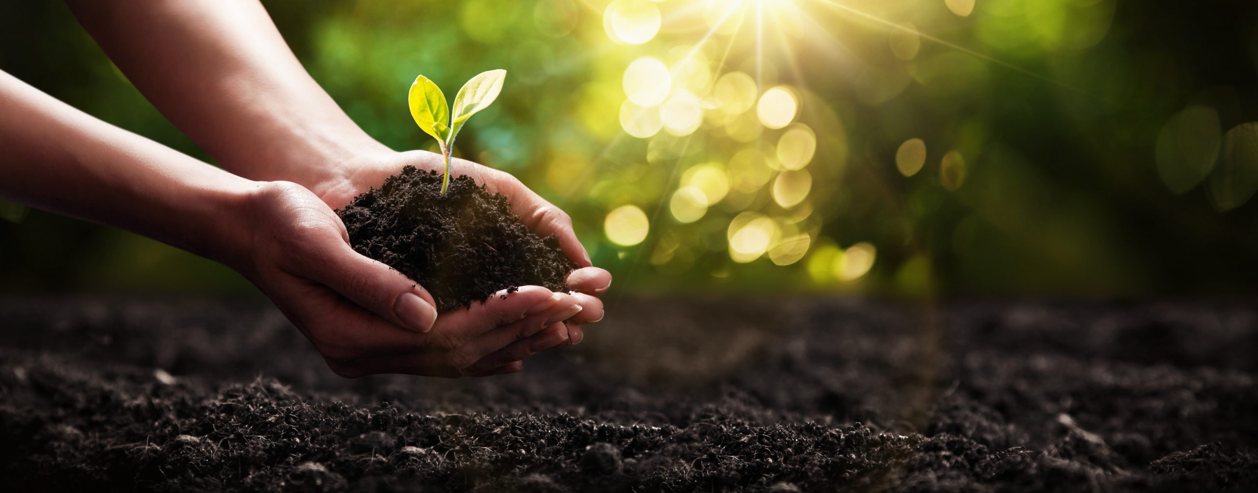 Minagro unveils first greener in-can preservative for agrochemical ...